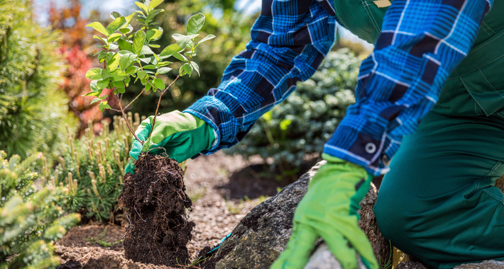 Landscapers, Mount Evelyn, 3796, VIC, Patch Landscapes | Service.com.au