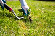 How Much Does It Cost To Hire A Gardener 2024 Cost Guide Service How Much Does It Cost To Hire A Gardener 2024 Cost Guide Service